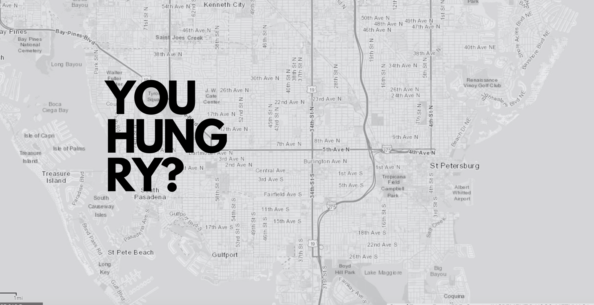 YOUR GUIDE TO THE CITY